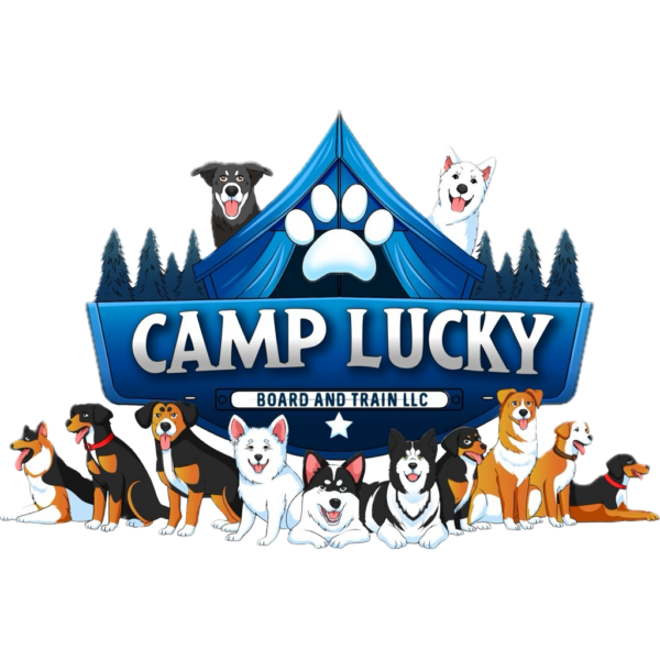 Dog Trainer Kountze Place | Professional Dog Training Services - Camp ...